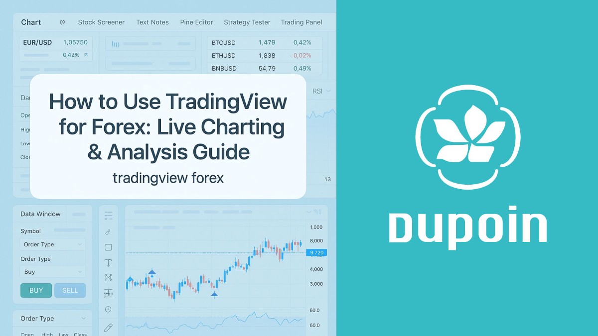 How to Use TradingView for Forex: Live Charting & Analysis Guide ...