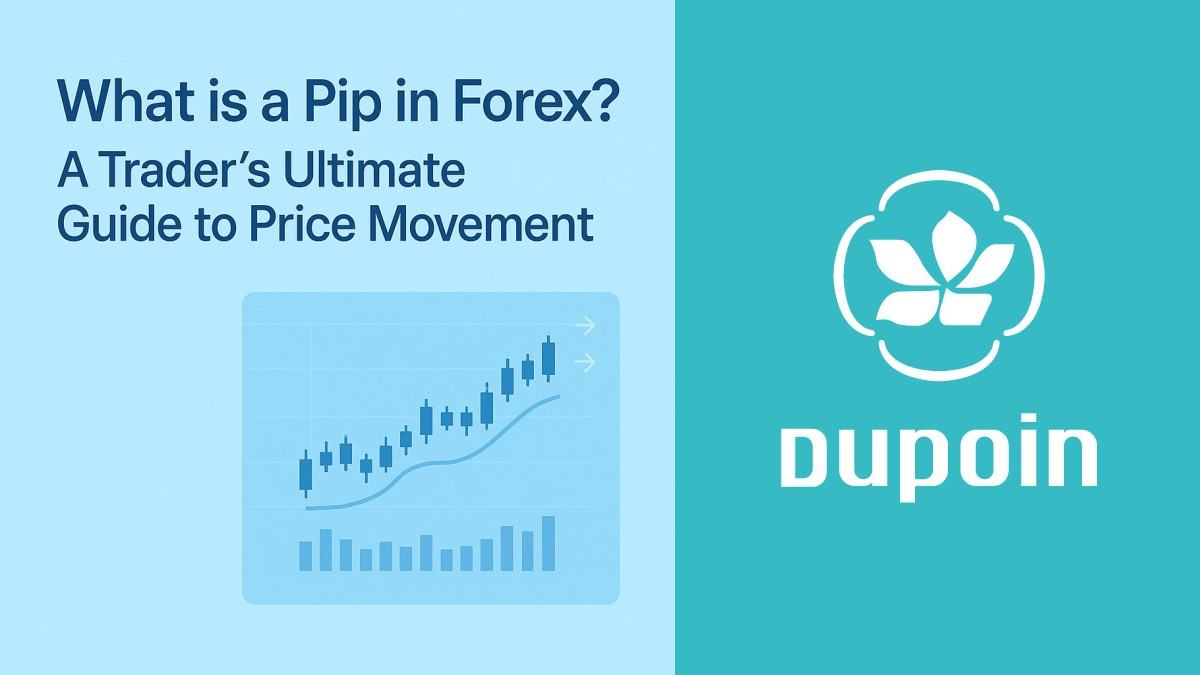 What is a Pip in Forex? A Trader’s Ultimate Guide to Price Movement